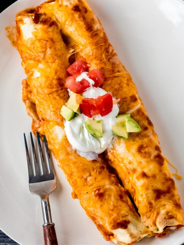 Easy Elk Enchiladas Story • Primal Pioneer