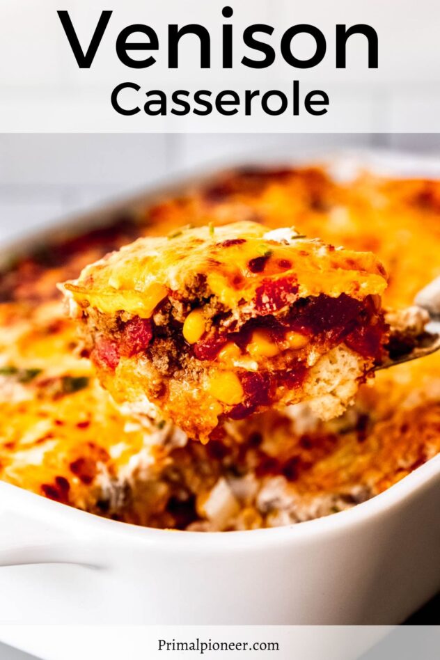 Venison Casserole • Primal Pioneer